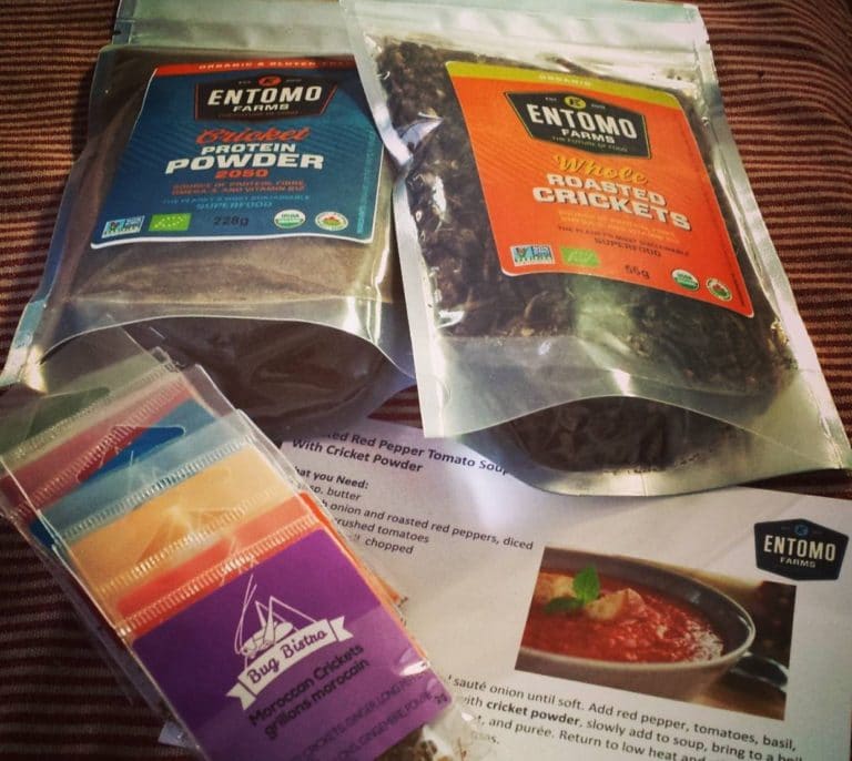 Insect Protein Prize Pack | Entomo Farms