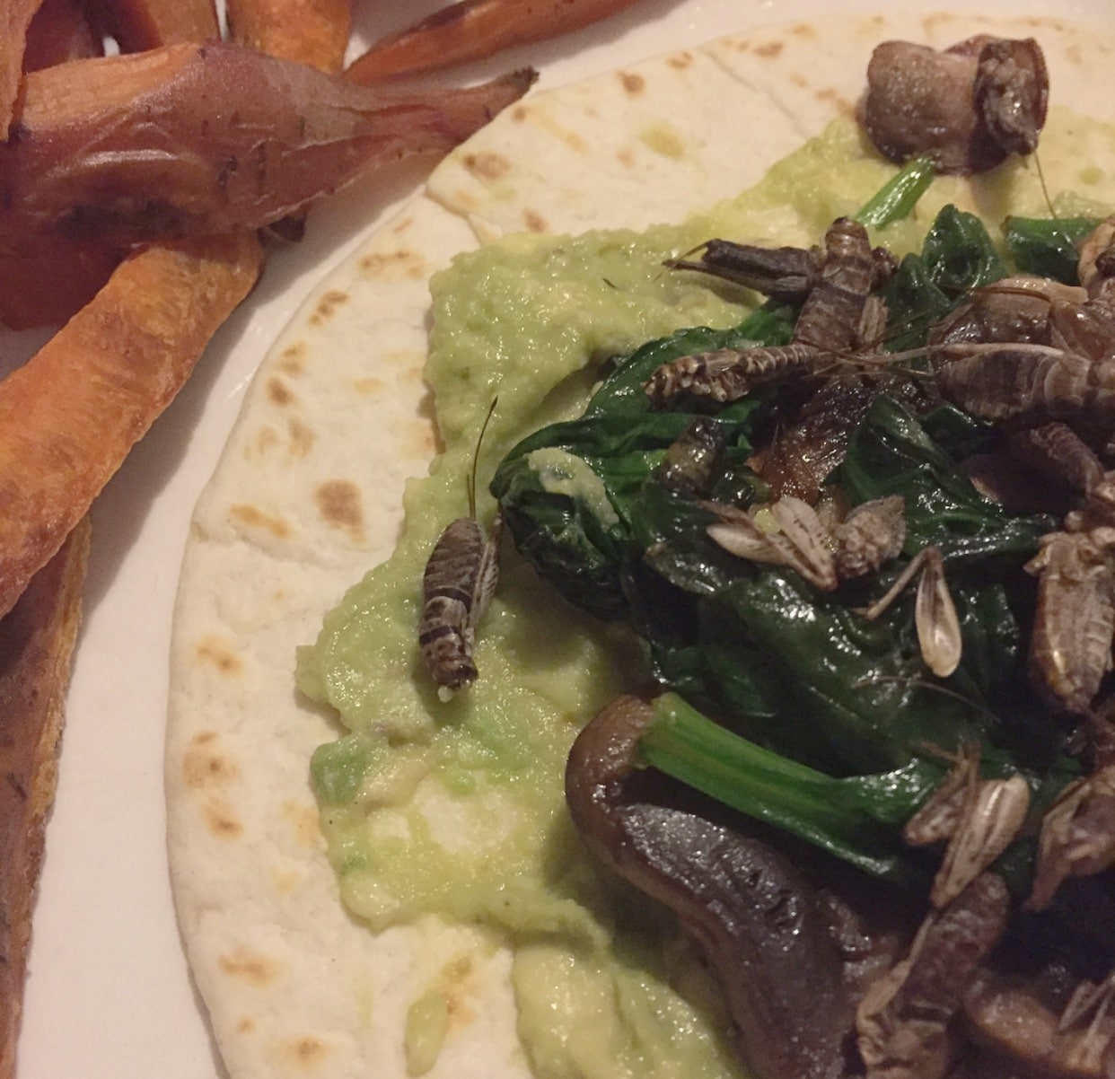 A Vegetarian Perspective on Including Edible Insects in Their Diet